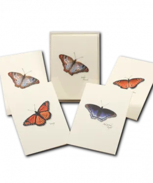 Butterfly Notecards