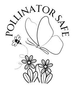 Wild Lupine Seeds (Lupinus perennis) for the Karner Butterflies!